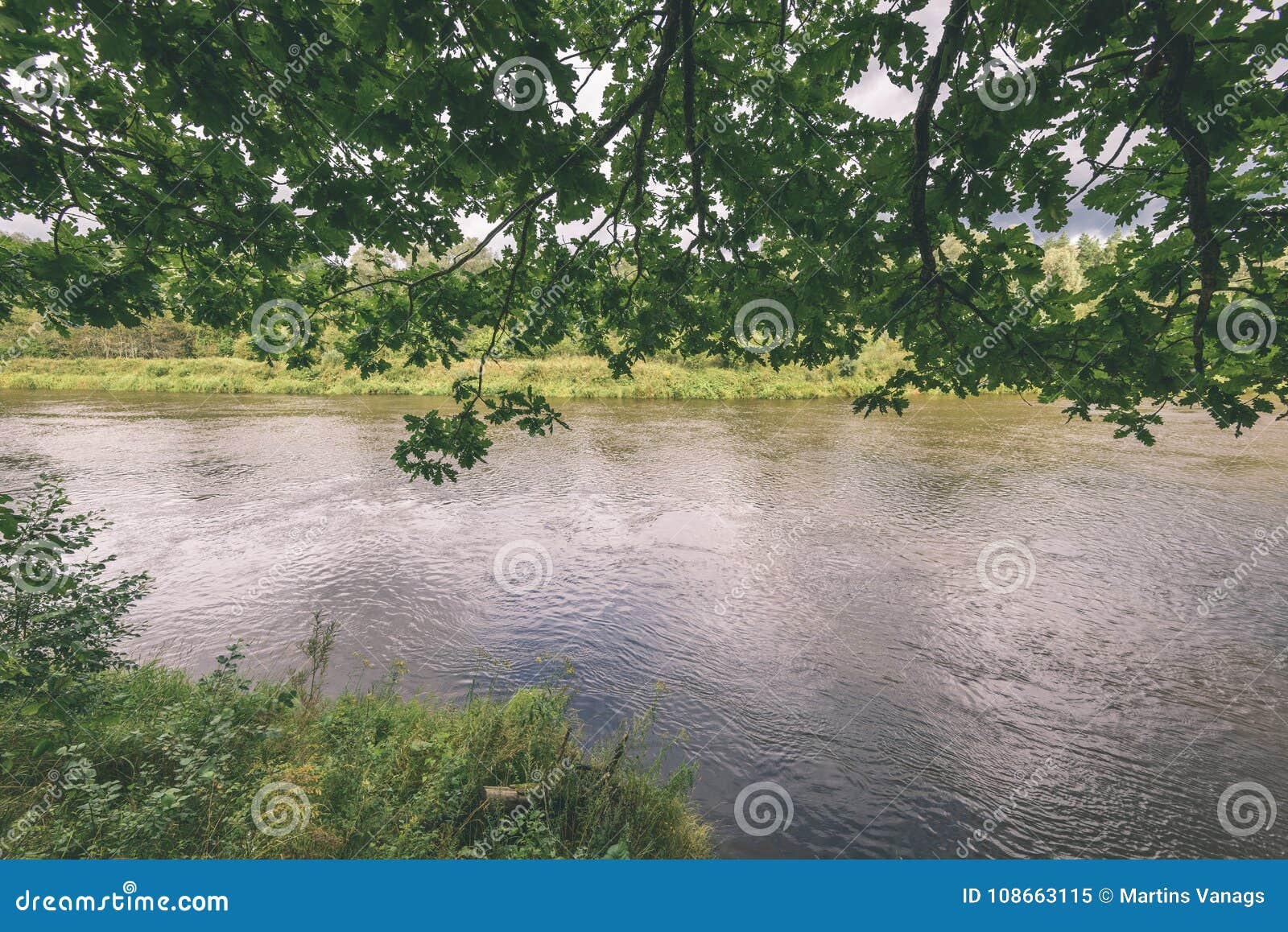 Oak Tree Branches Over Summer River - Vintage Effect Stock Image ...