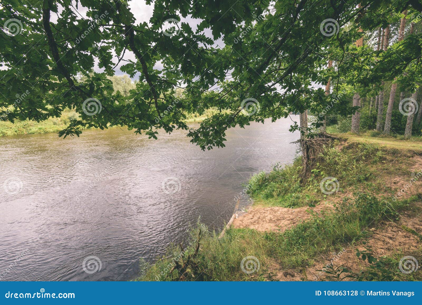 Oak Tree Branches Over Summer River - Vintage Effect Stock Photo ...
