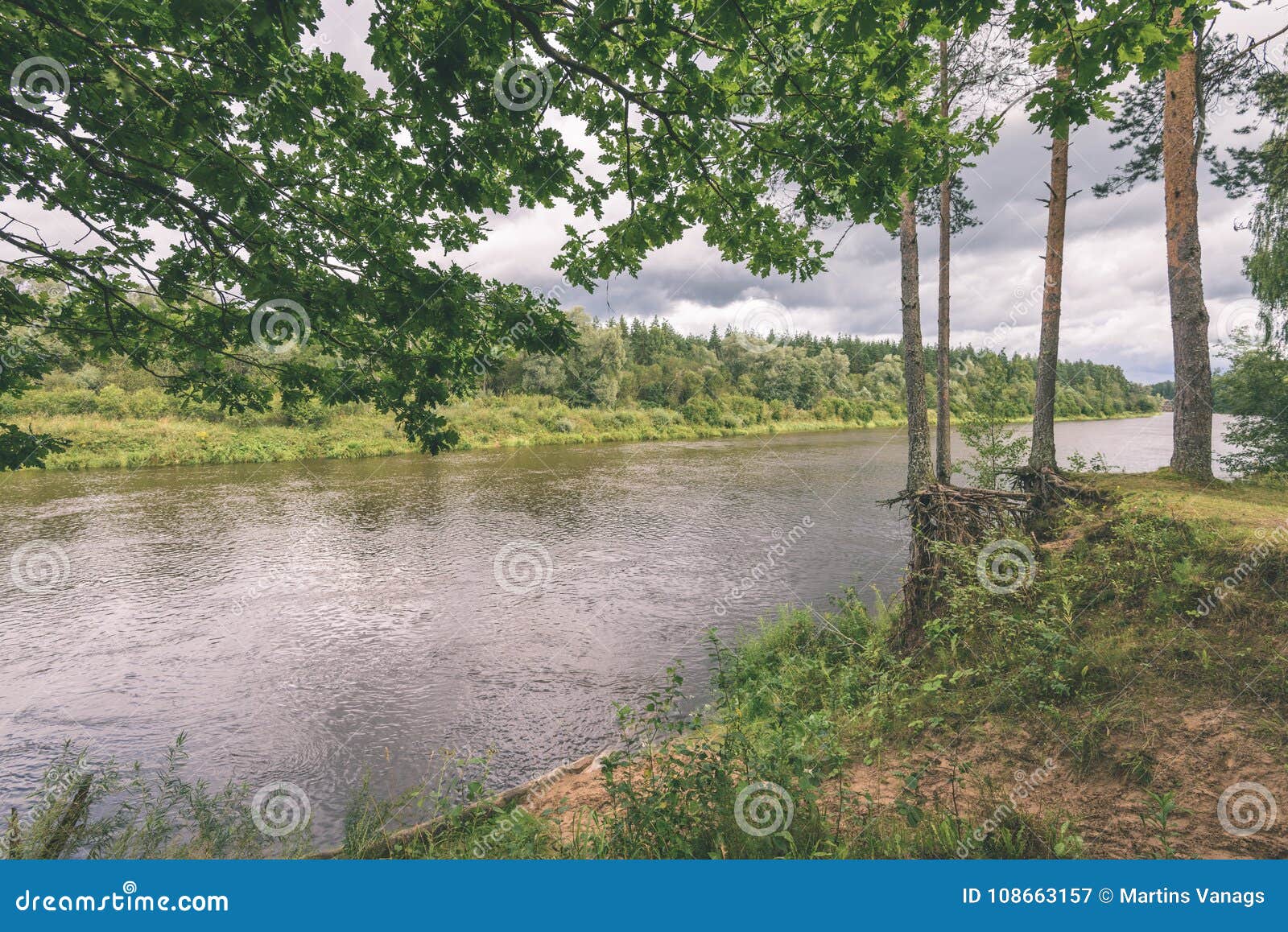 Oak Tree Branches Over Summer River - Vintage Effect Stock Image ...