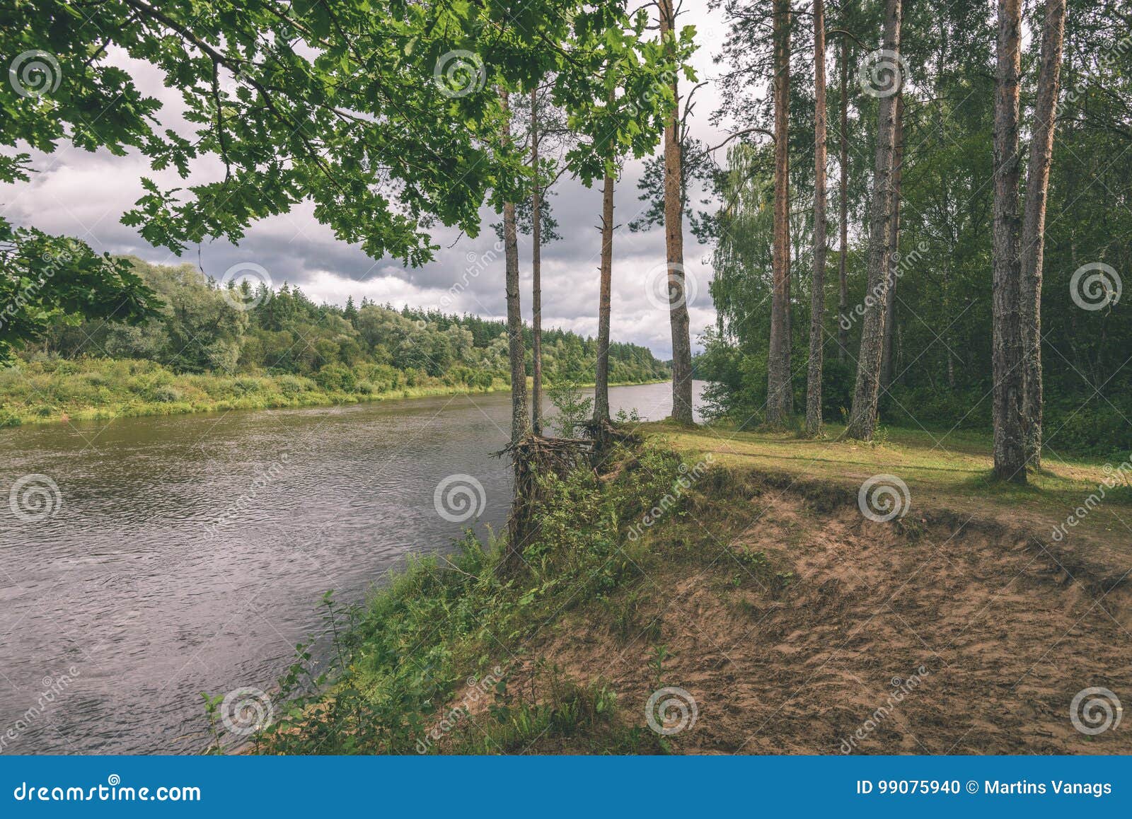 Oak Tree Branches Over Summer River - Vintage Effect Stock Photo ...