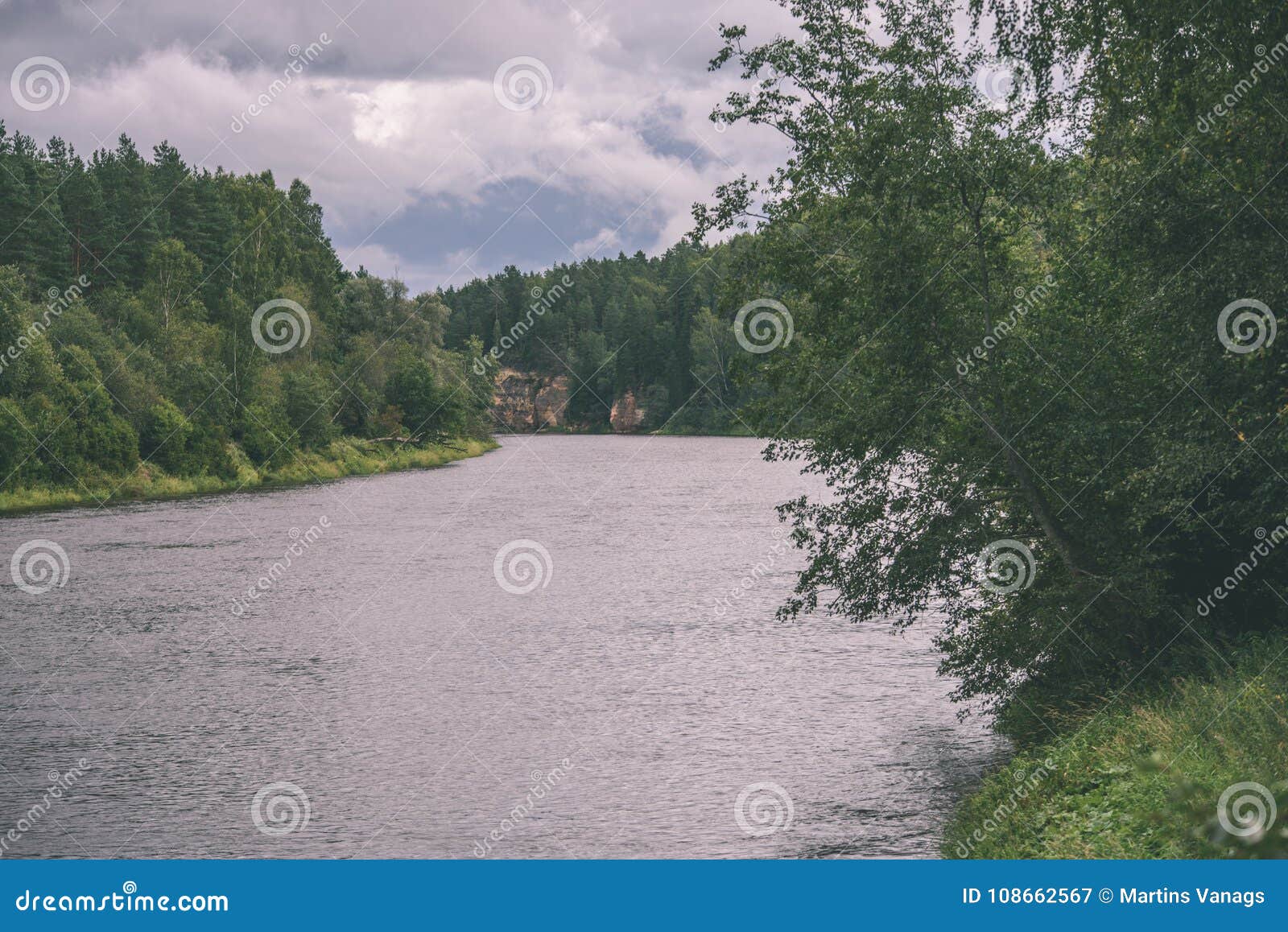 Oak Tree Branches Over Summer River - Vintage Effect Stock Image ...