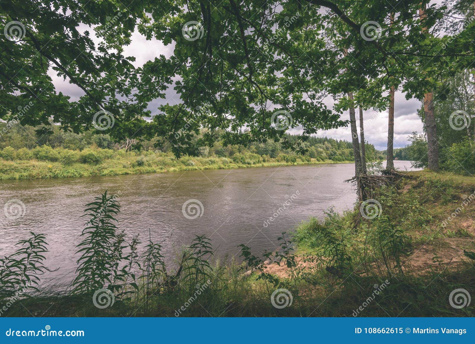 Oak Tree Branches Over Summer River - Vintage Effect Stock Image ...