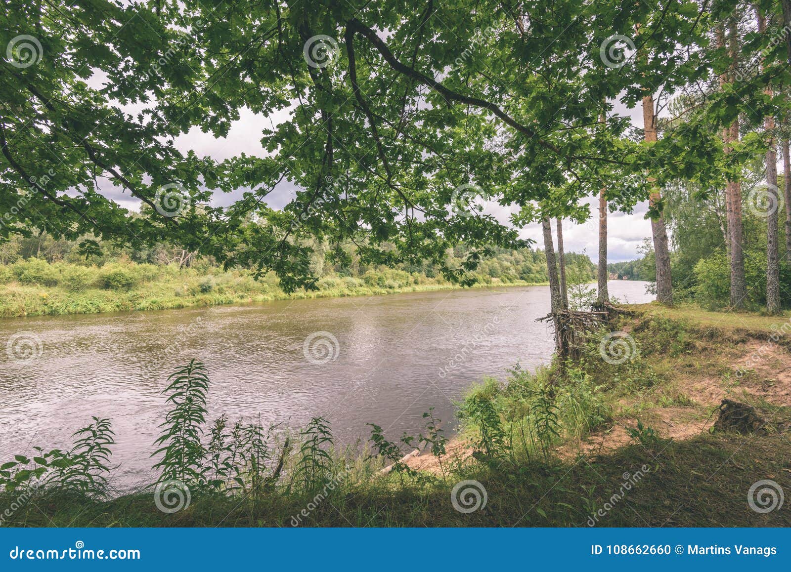 Oak Tree Branches Over Summer River - Vintage Effect Stock Photo ...