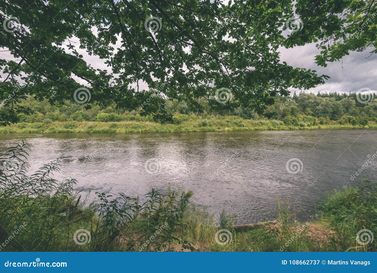 Oak Tree Branches Over Summer River - Vintage Effect Stock Image ...