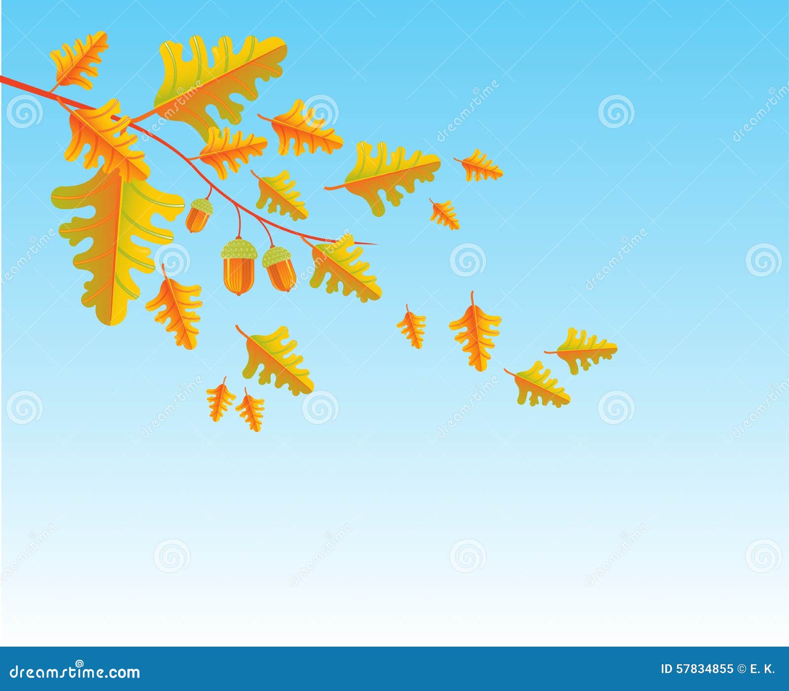 Oak tree brunch stock vector. Illustration of ornate - 57834855