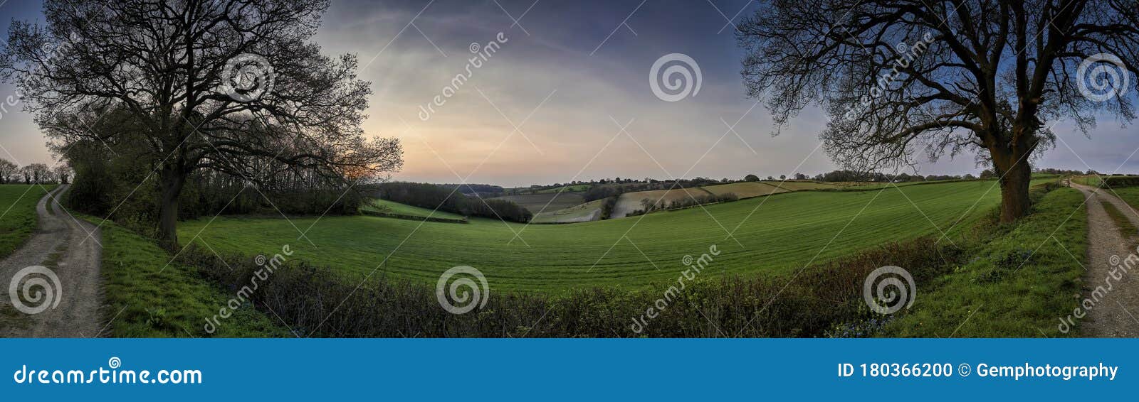 Oak Tree in Chiltern Landscape Stock Photo - Image of panorama ...