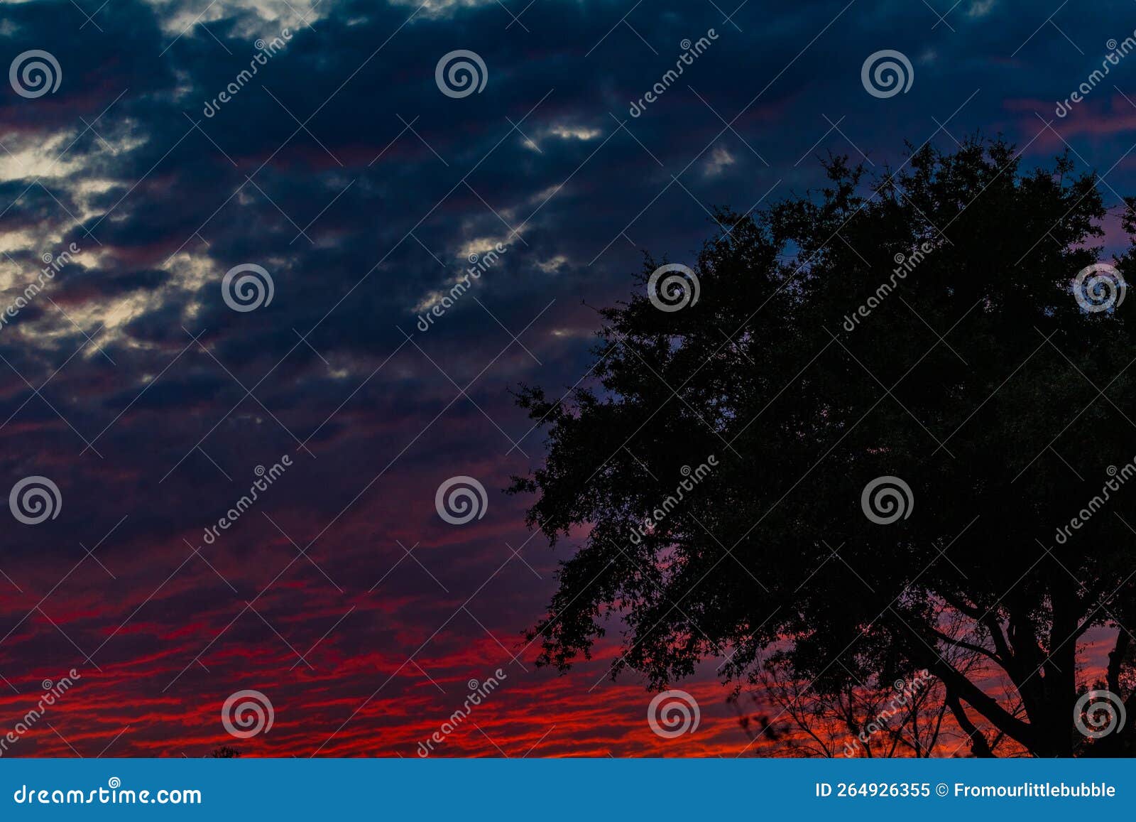 Oak Tree Cloudy Sunrise Silhouette Stock Image - Image of dusk ...