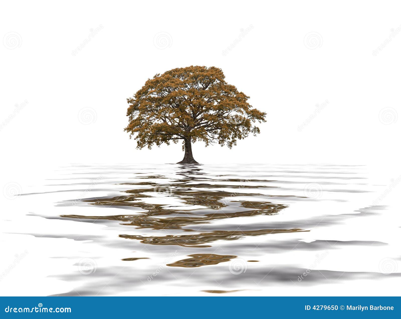 Oak Tree in Fall stock illustration. Illustration of leaf - 4279650