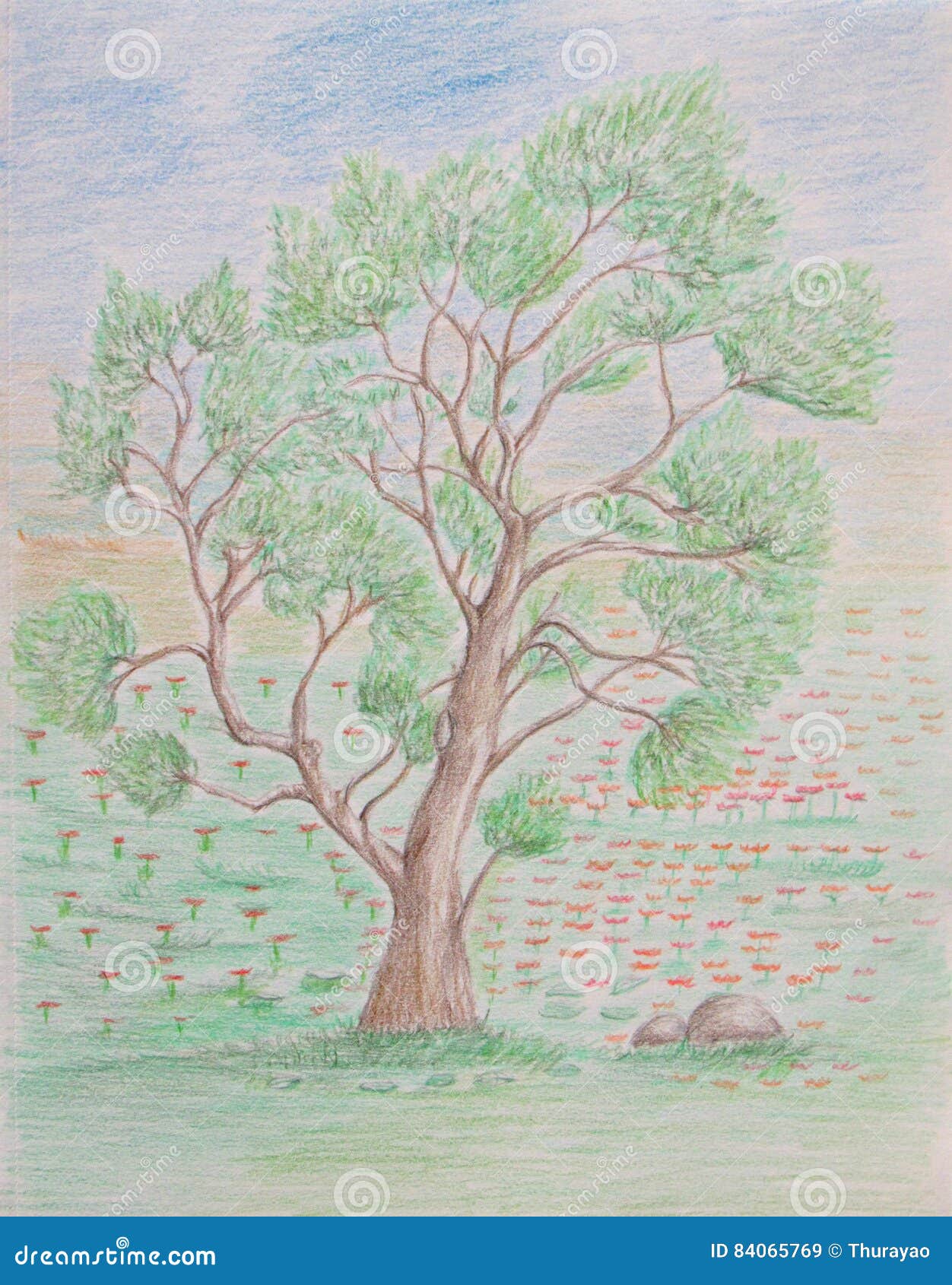 Oak tree stock illustration. Illustration of tree, plants - 84065769