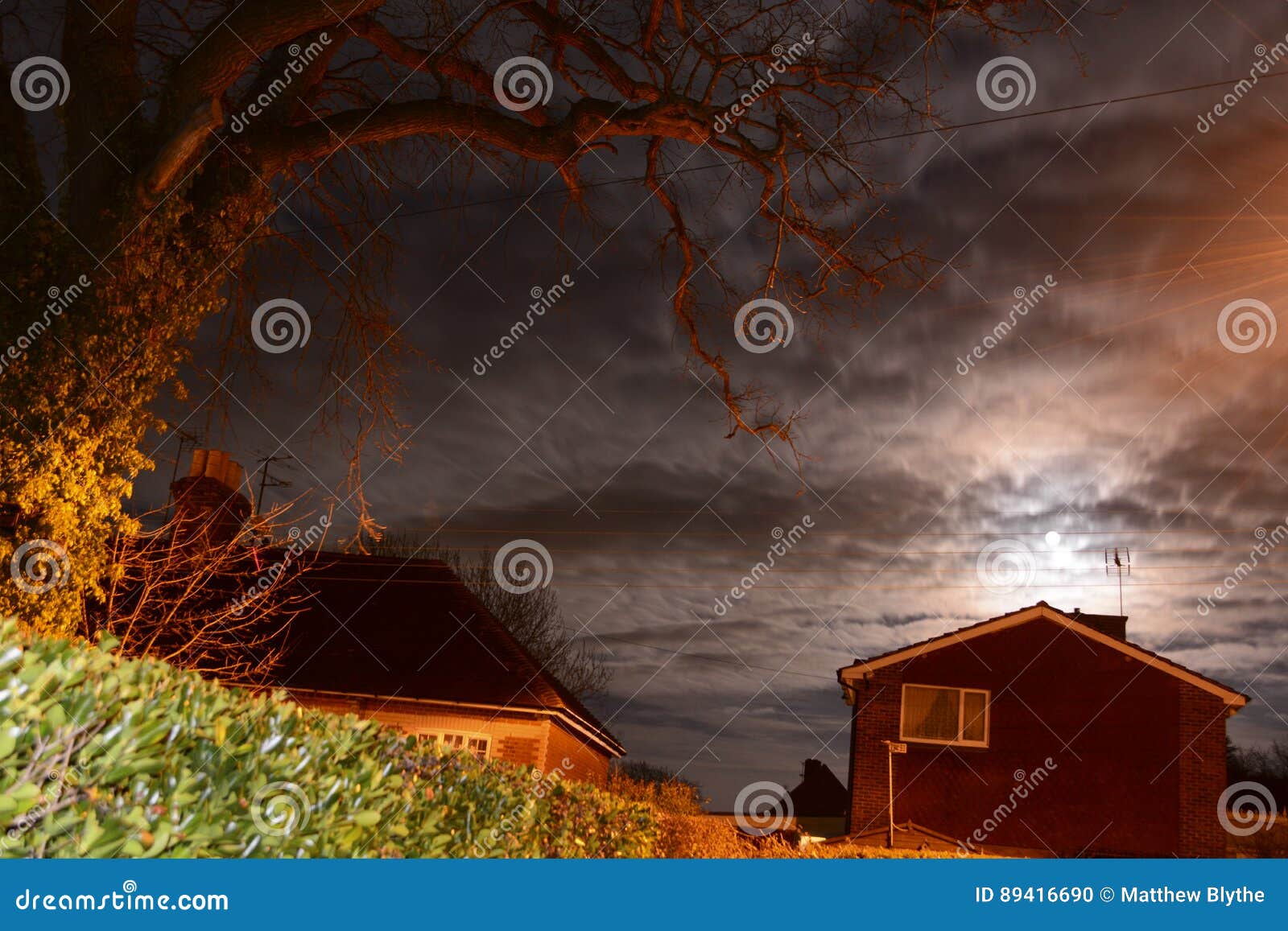 Oak Tree and Full Moon stock photo. Image of orange, exposure - 89416690