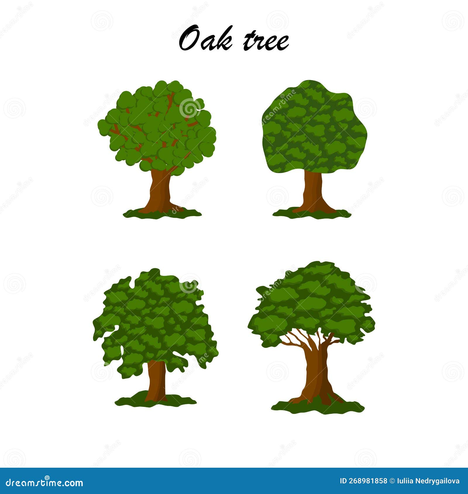 Oak Tree Icon Set, Flat Style Vector Stock Illustration - Illustration ...