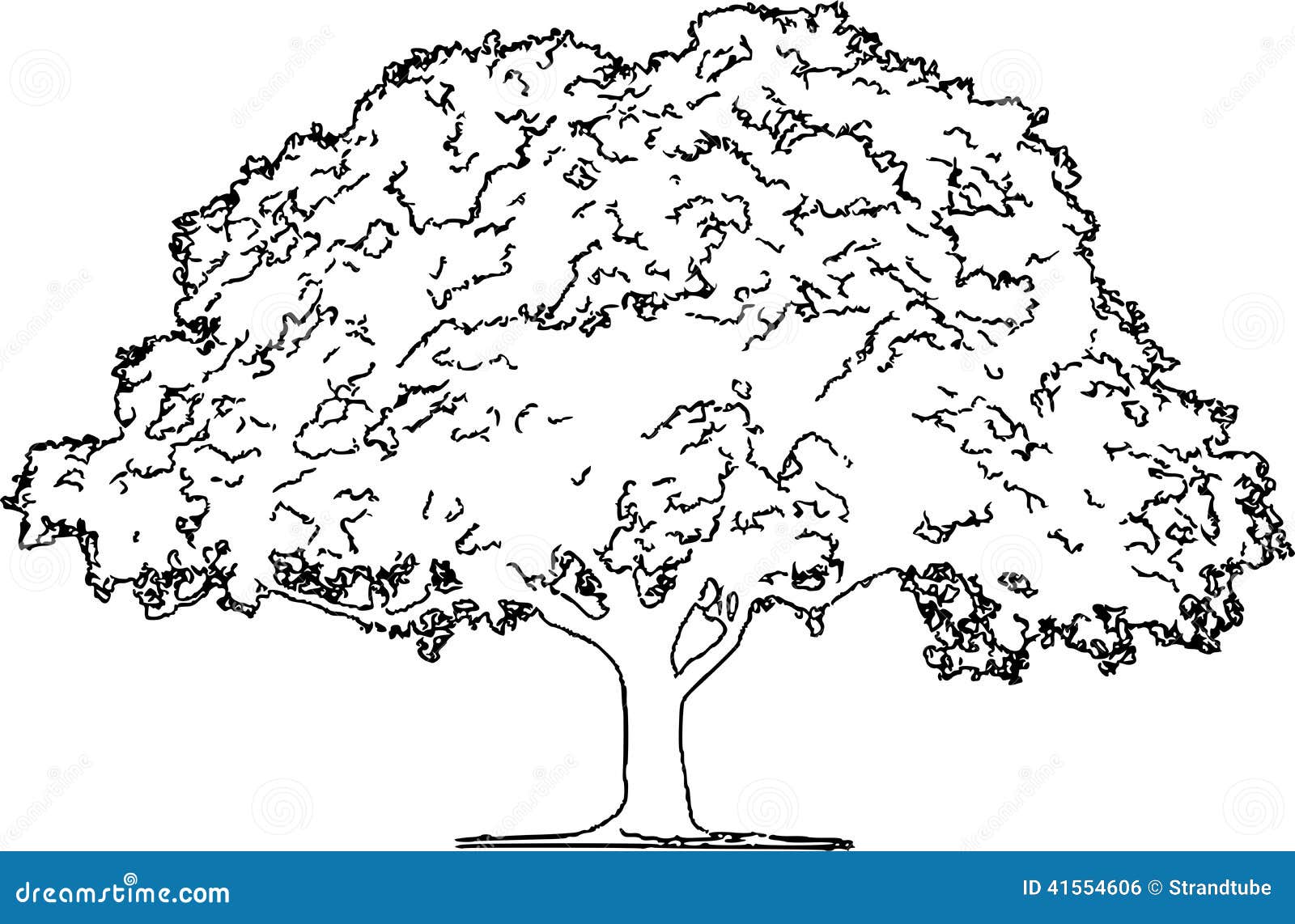 Simple Oak Tree Drawing