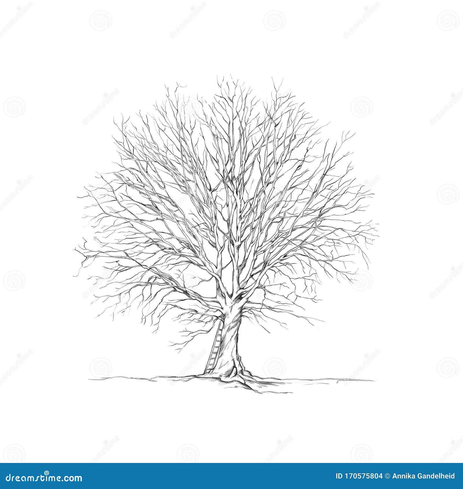 Standing Ajar At The End Of The Book With Proceeds From Her Light Stock ...