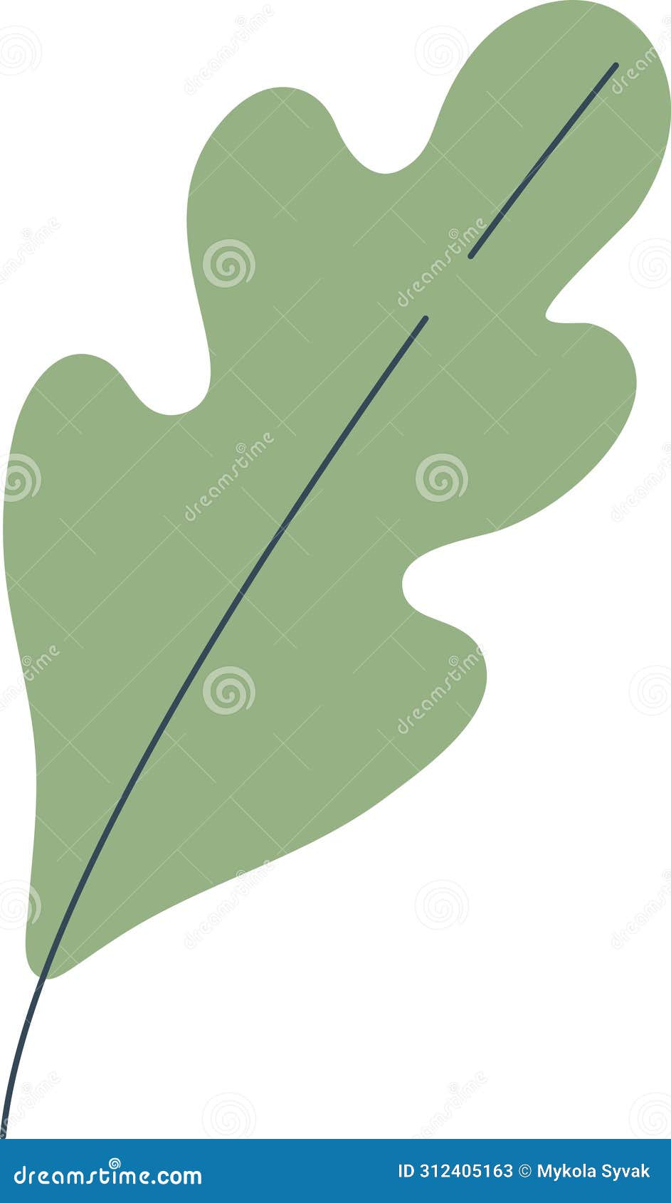 Oak Tree Leaf stock vector. Illustration of natural - 312405163