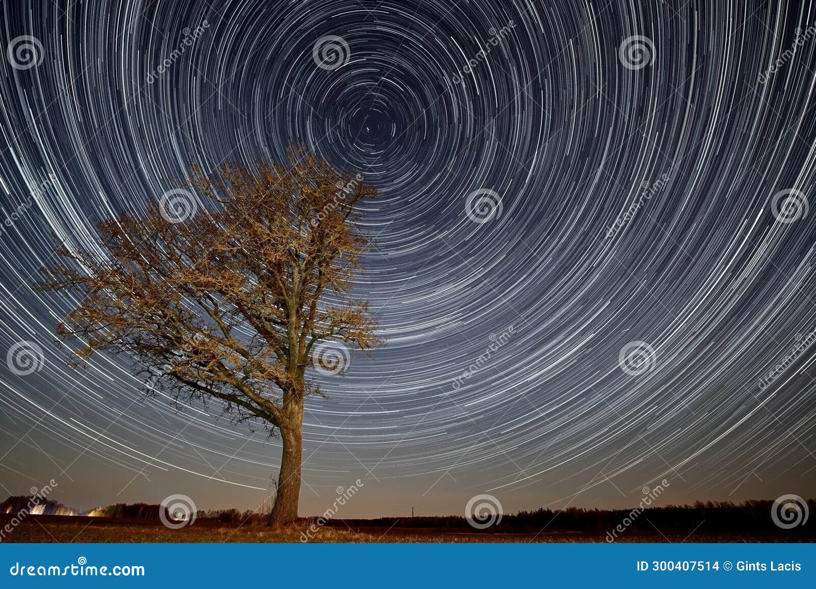 An Oak Tree in the Middle of a Field on a Full Moon Night. Star Trails ...