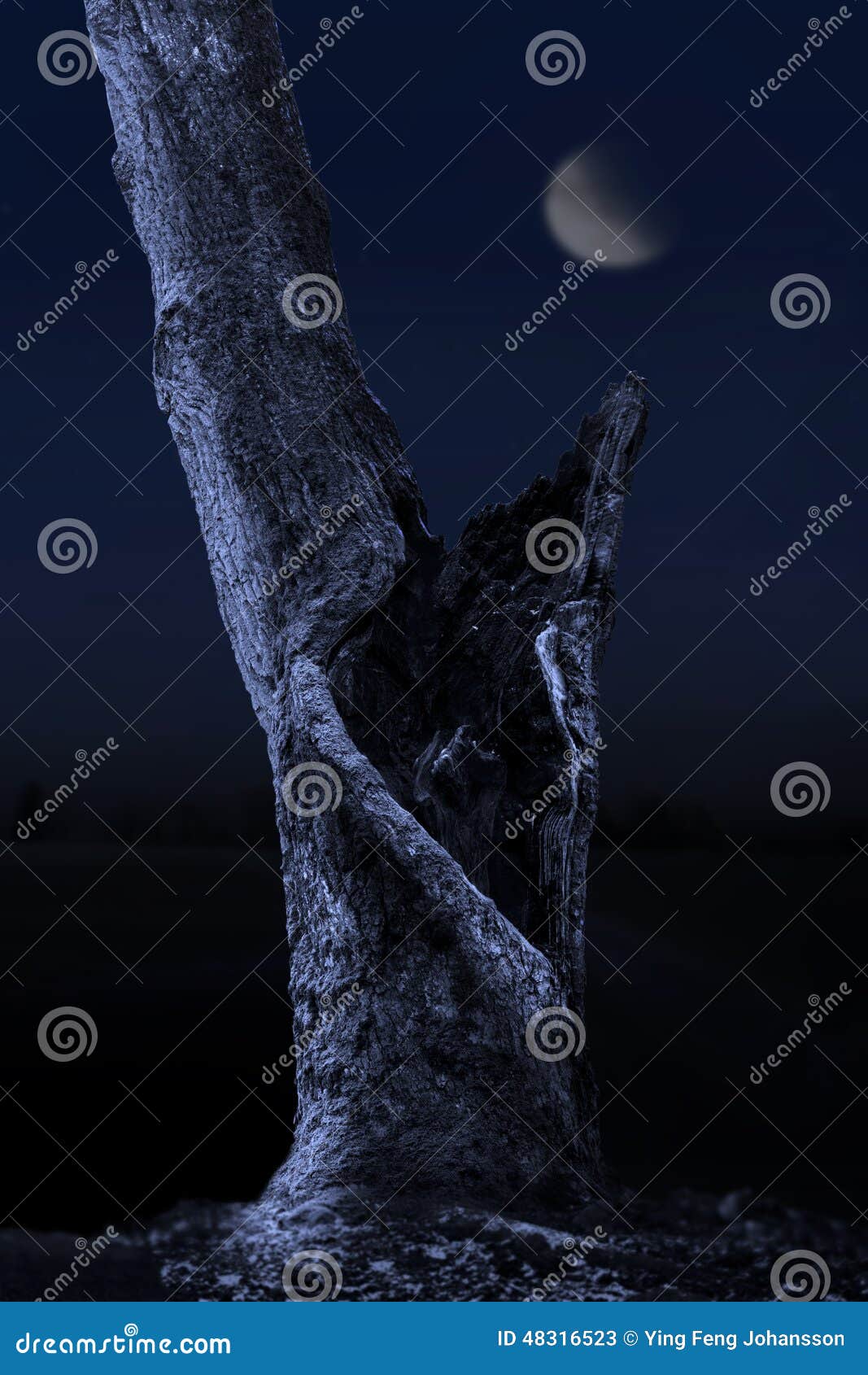 Oak tree in moonlight stock image. Image of tree, blue - 48316523