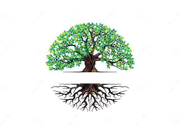 Oak Tree and Roots Logo Template Stock Illustration - Illustration of ...