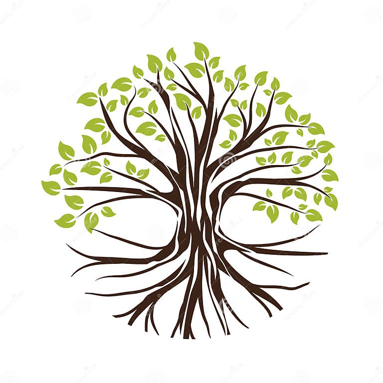 Oak Tree Round Shape stock vector. Illustration of garden - 128182624