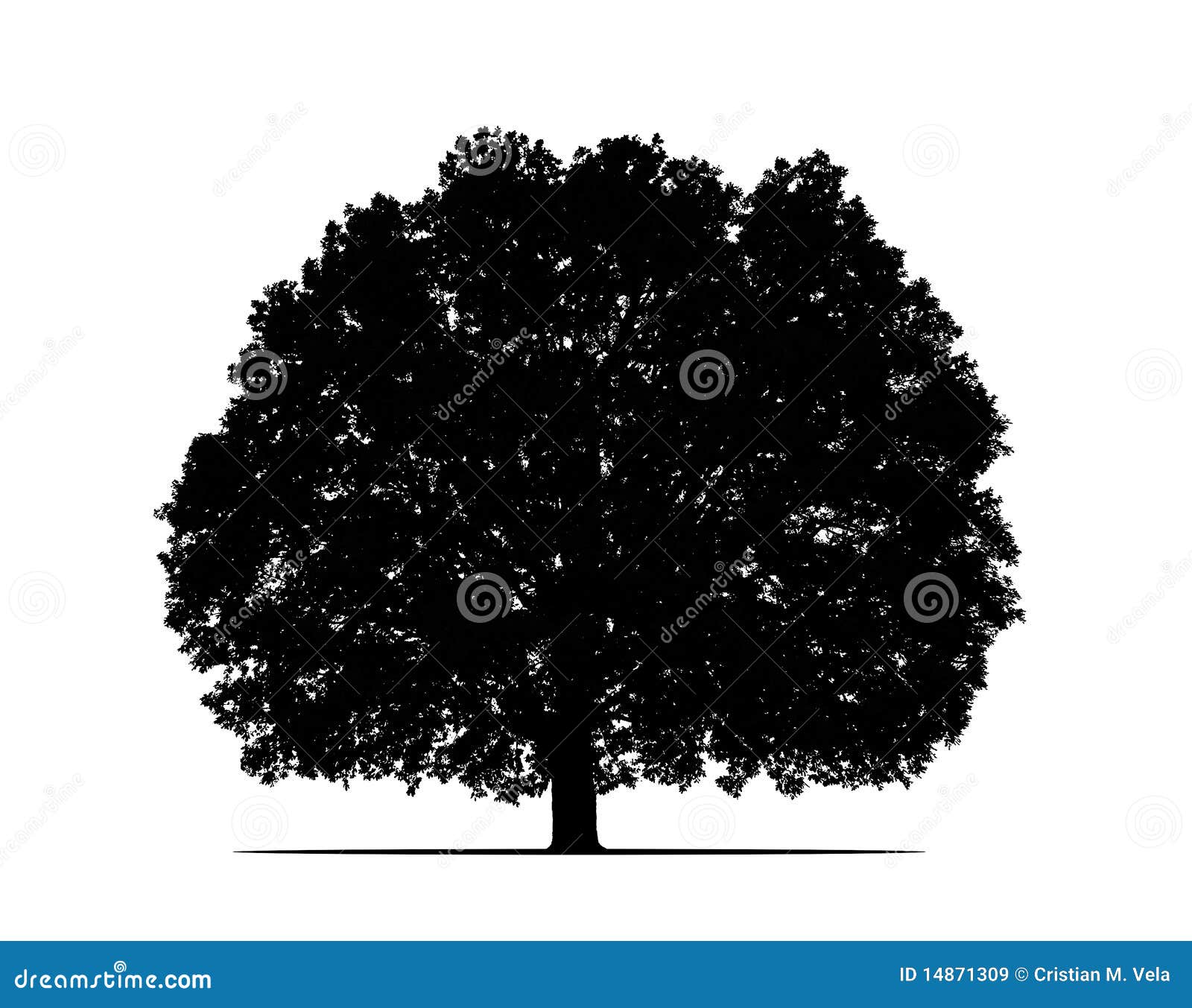 Oak tree silhouette stock image. Image of shadow, branch - 14871309