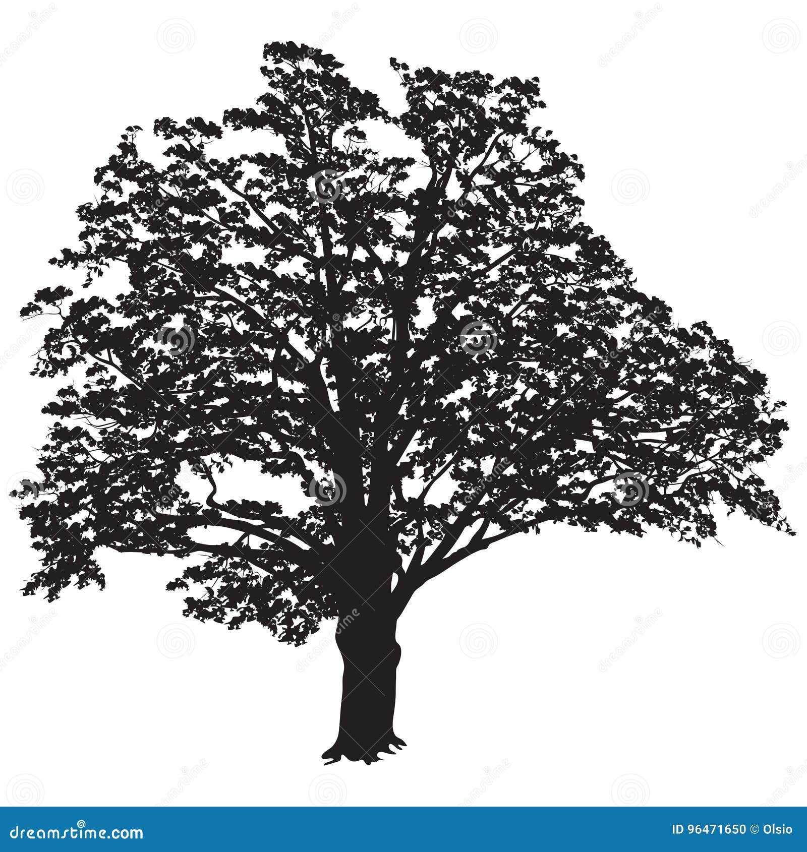 Oak Tree Silhouette with Leaves in the Black-and-white Vector Image ...