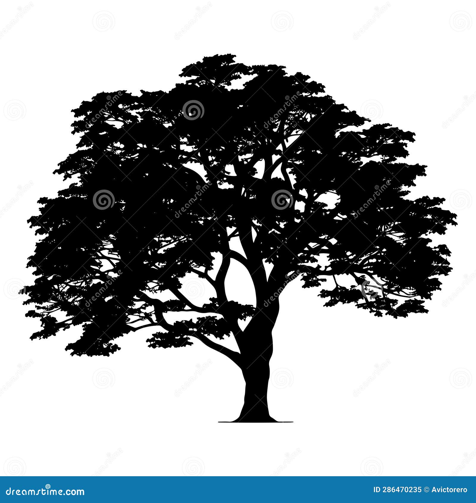Oak tree silhouette stock vector. Illustration of nature - 286470235
