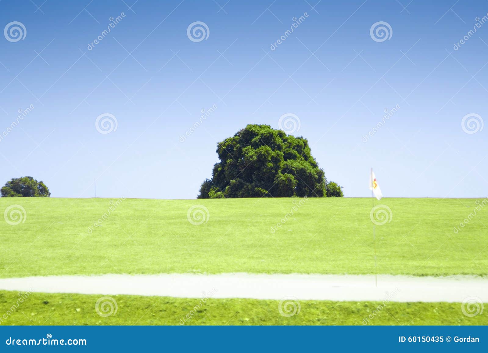Oak Tree Standing Alone in a Field Stock Image - Image of branches ...