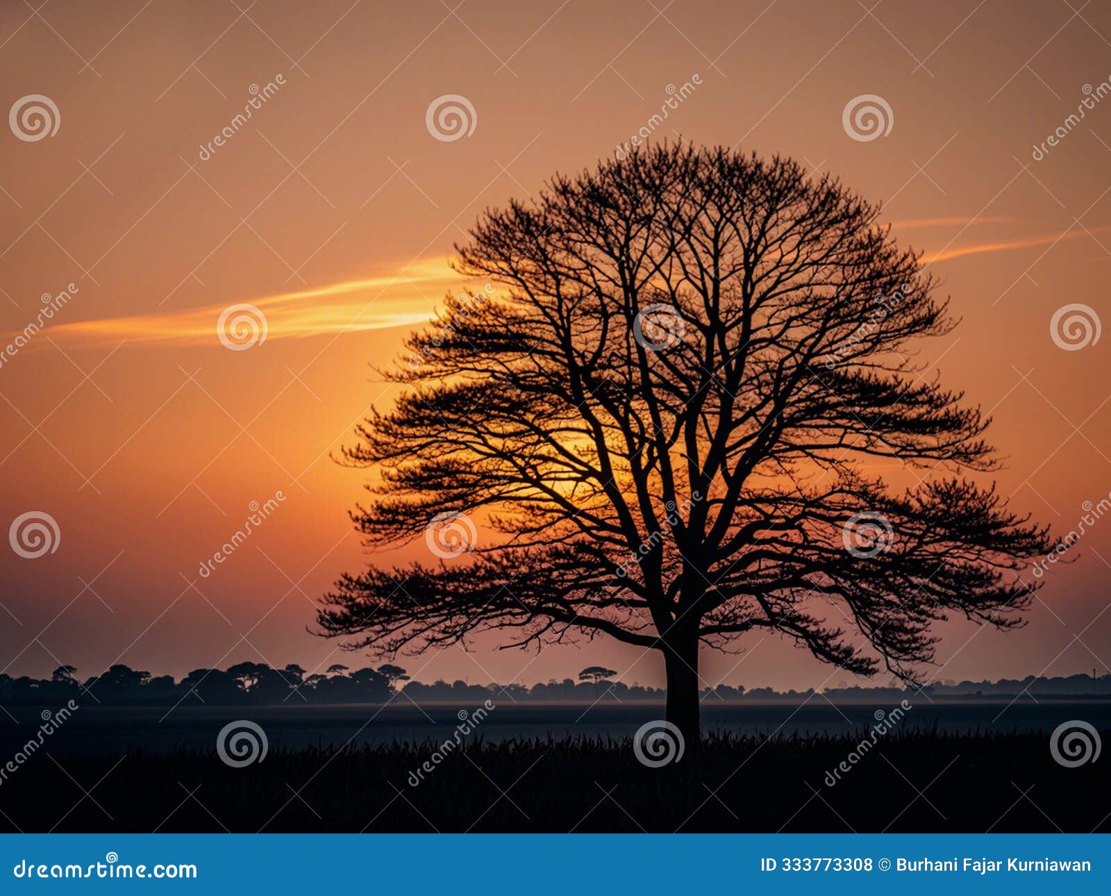 Oak Tree in Sunset Background. Stock Illustration - Illustration of ...