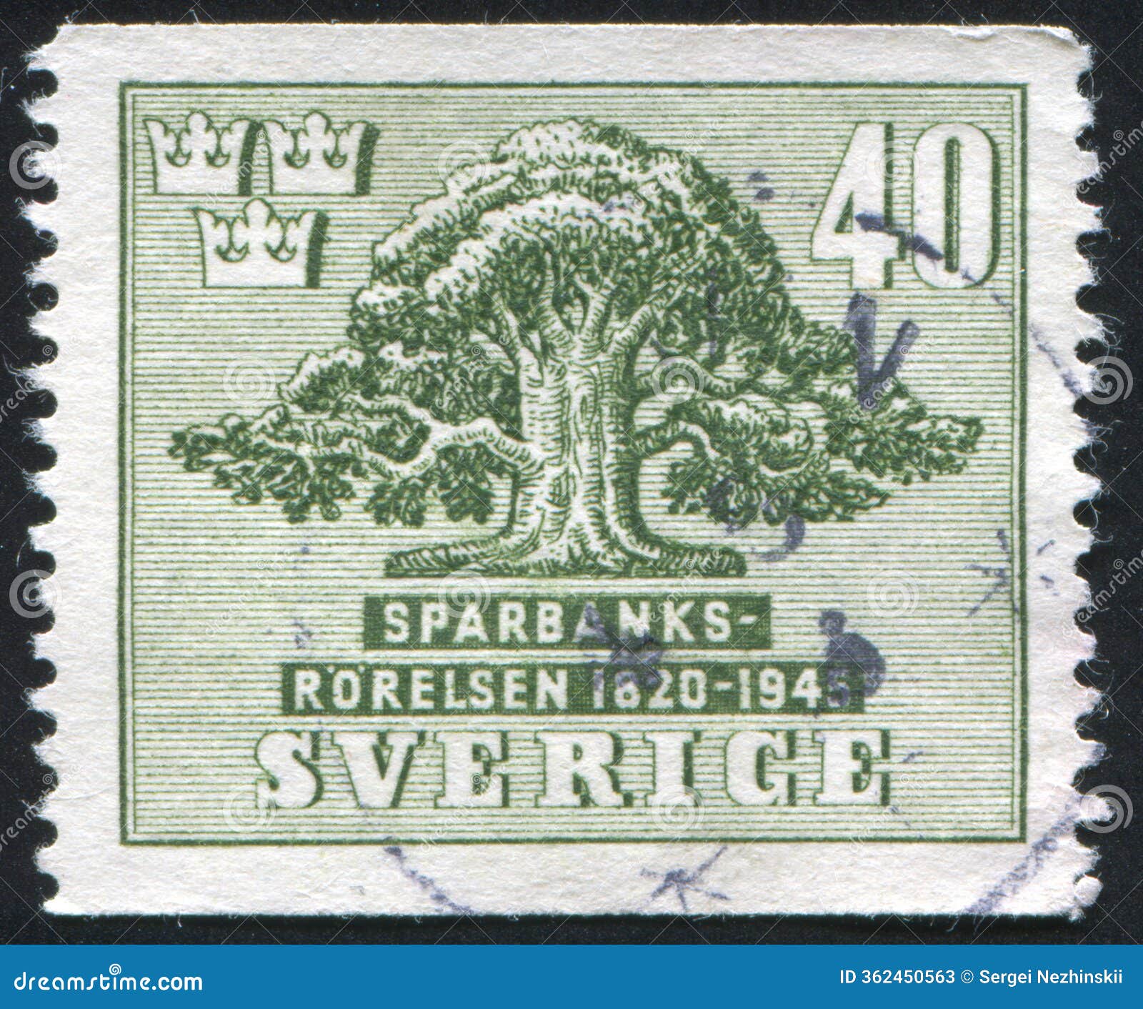 Oak Tree stock image. Image of sweden, branch, letter - 362450563