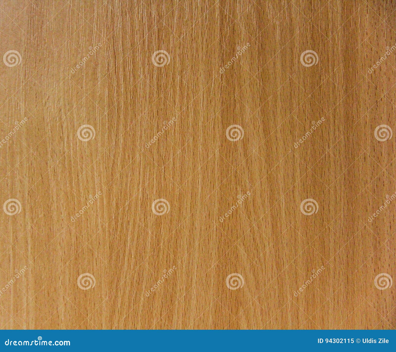 Oak tree texture stock image. Image of design, grain - 94302115