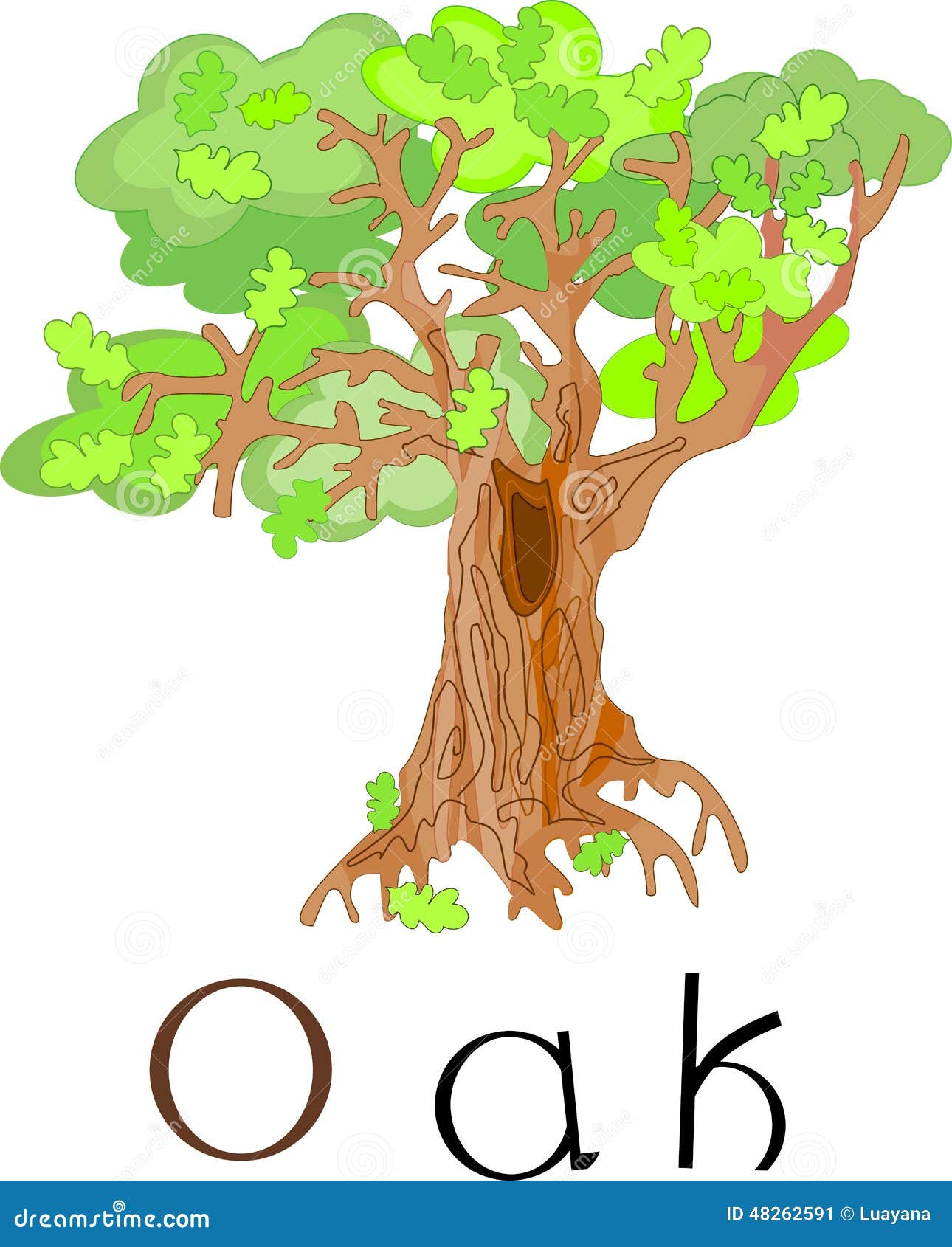 Oak-tree with title stock vector. Illustration of nature - 48262591