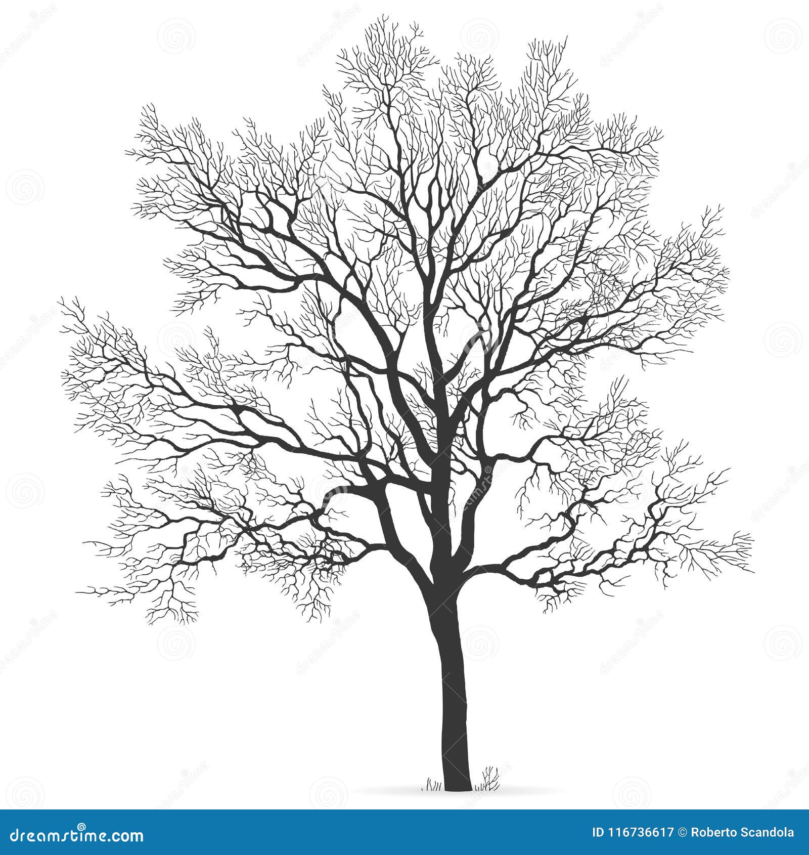Oak Tree vector silhouette stock vector. Illustration of natural ...