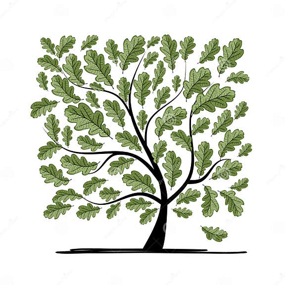 Oak tree for your design stock vector. Illustration of leaf - 43672384