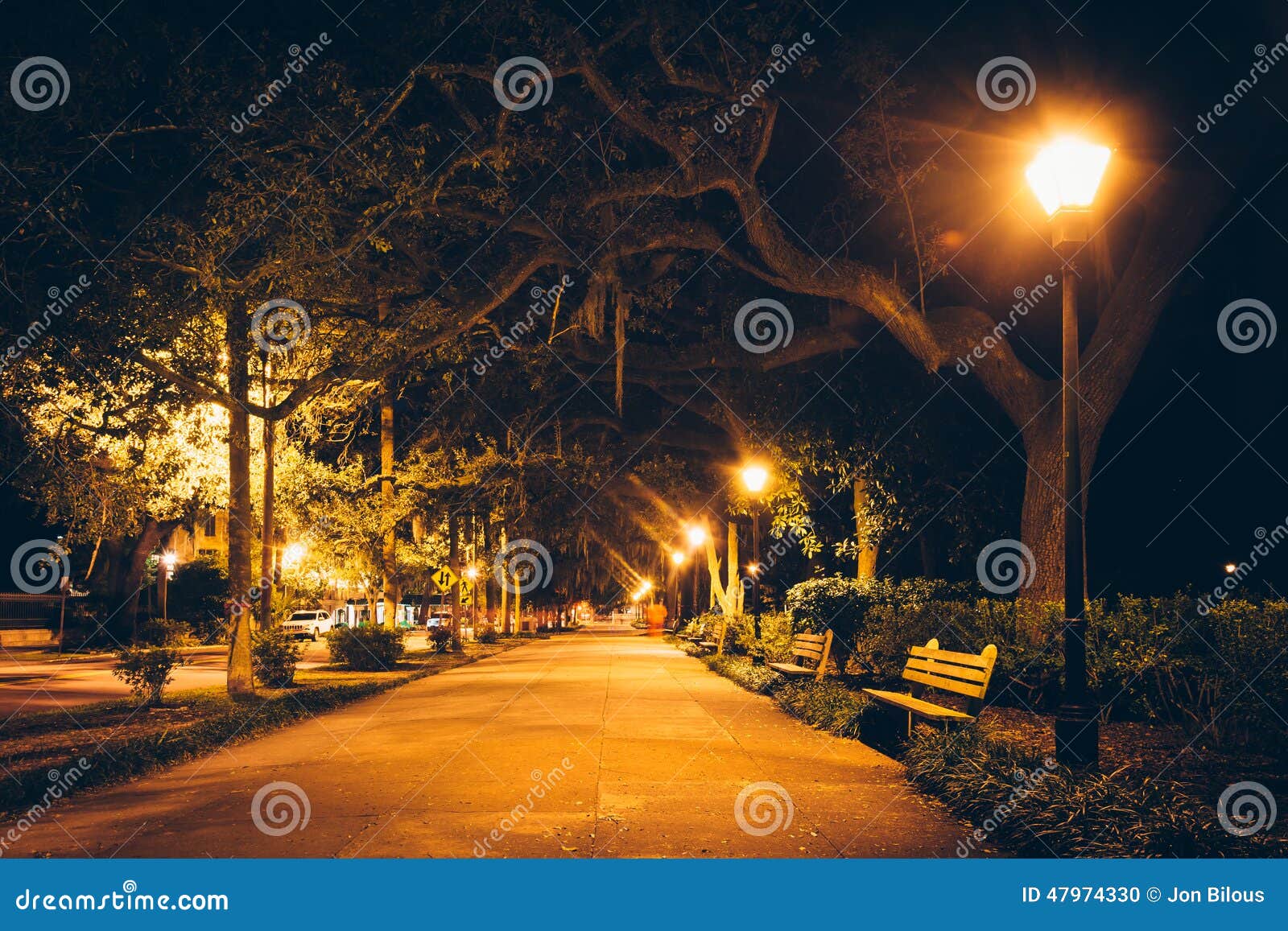 Oak Trees and Path at Night in Forsyth Park, Savannah, Georgia. Stock ...