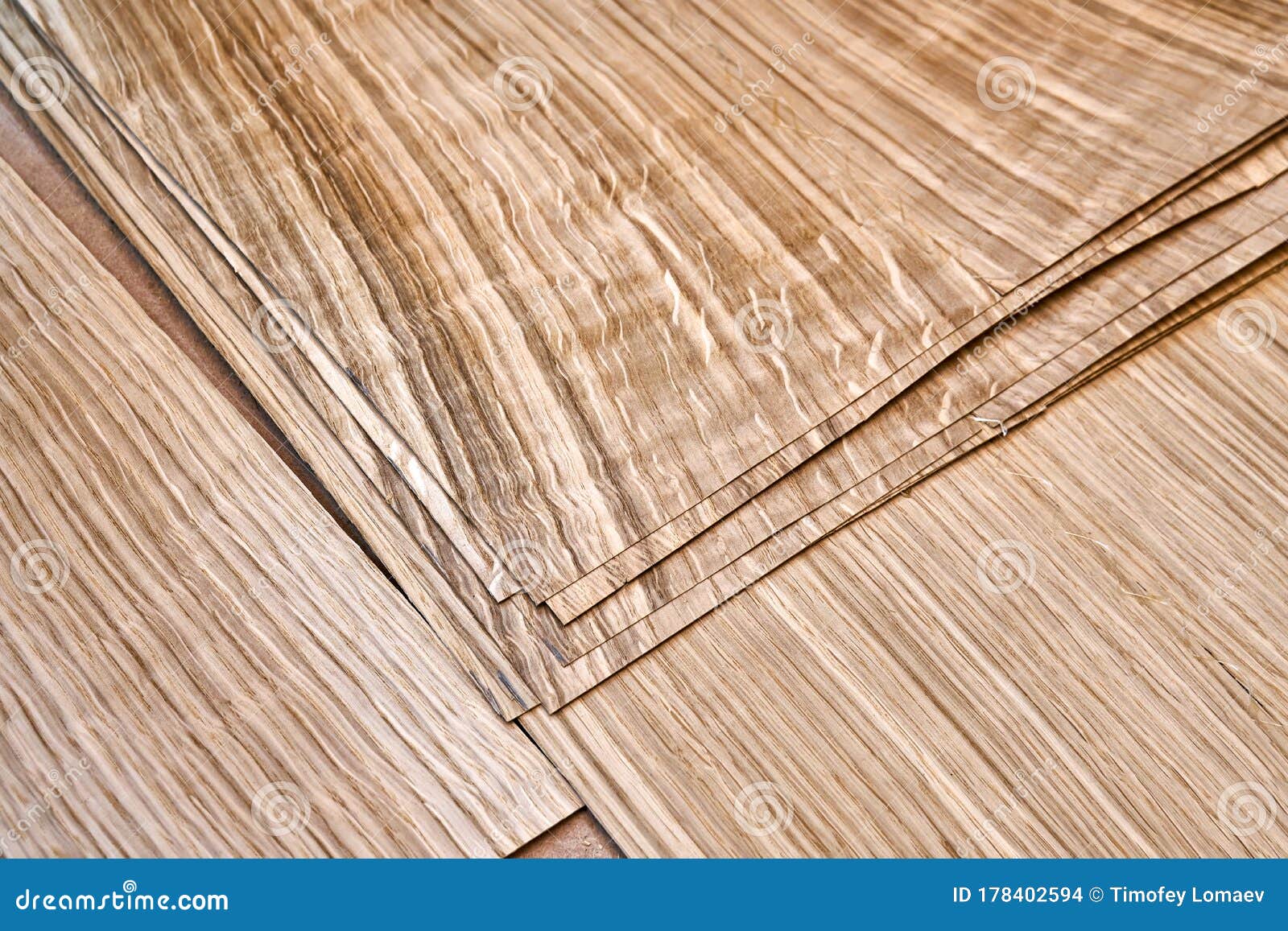 Oak veneer. Oak texture stock photo. Image of finish - 178402594