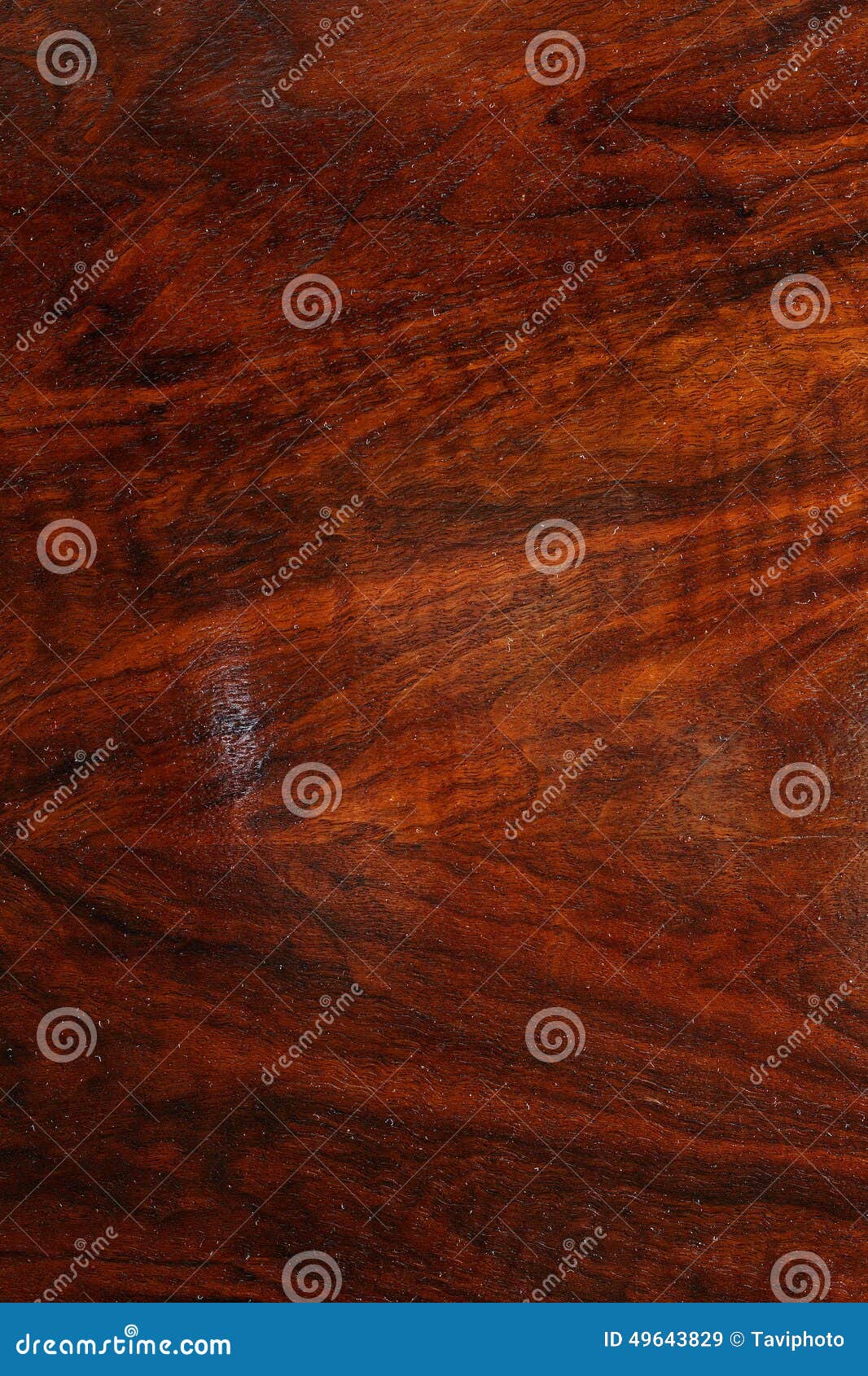 Oak veneer texture stock image. Image of panel, parquet - 49643829