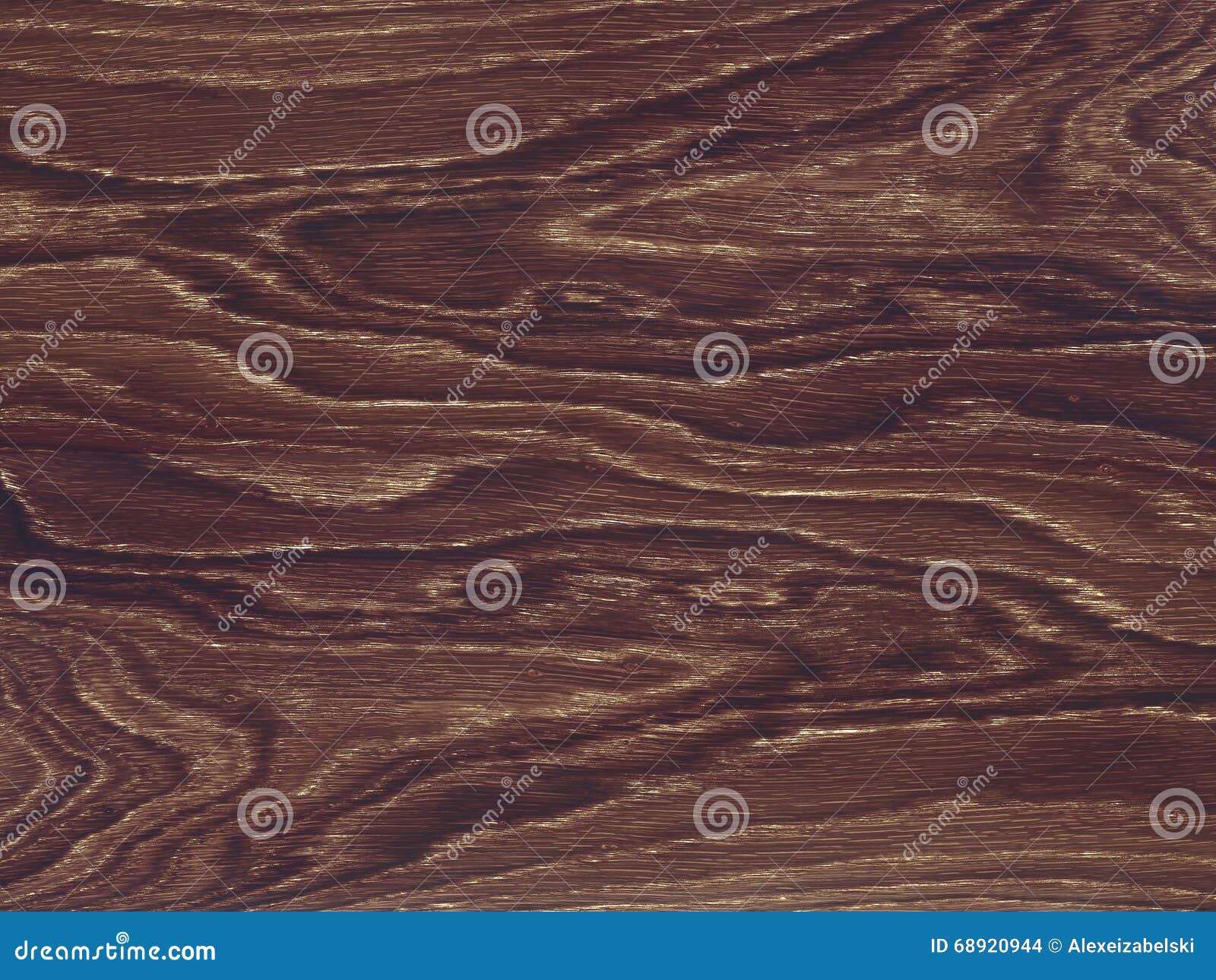 Oak veneer stock photo. Image of veneer, plywood, wood - 68920944