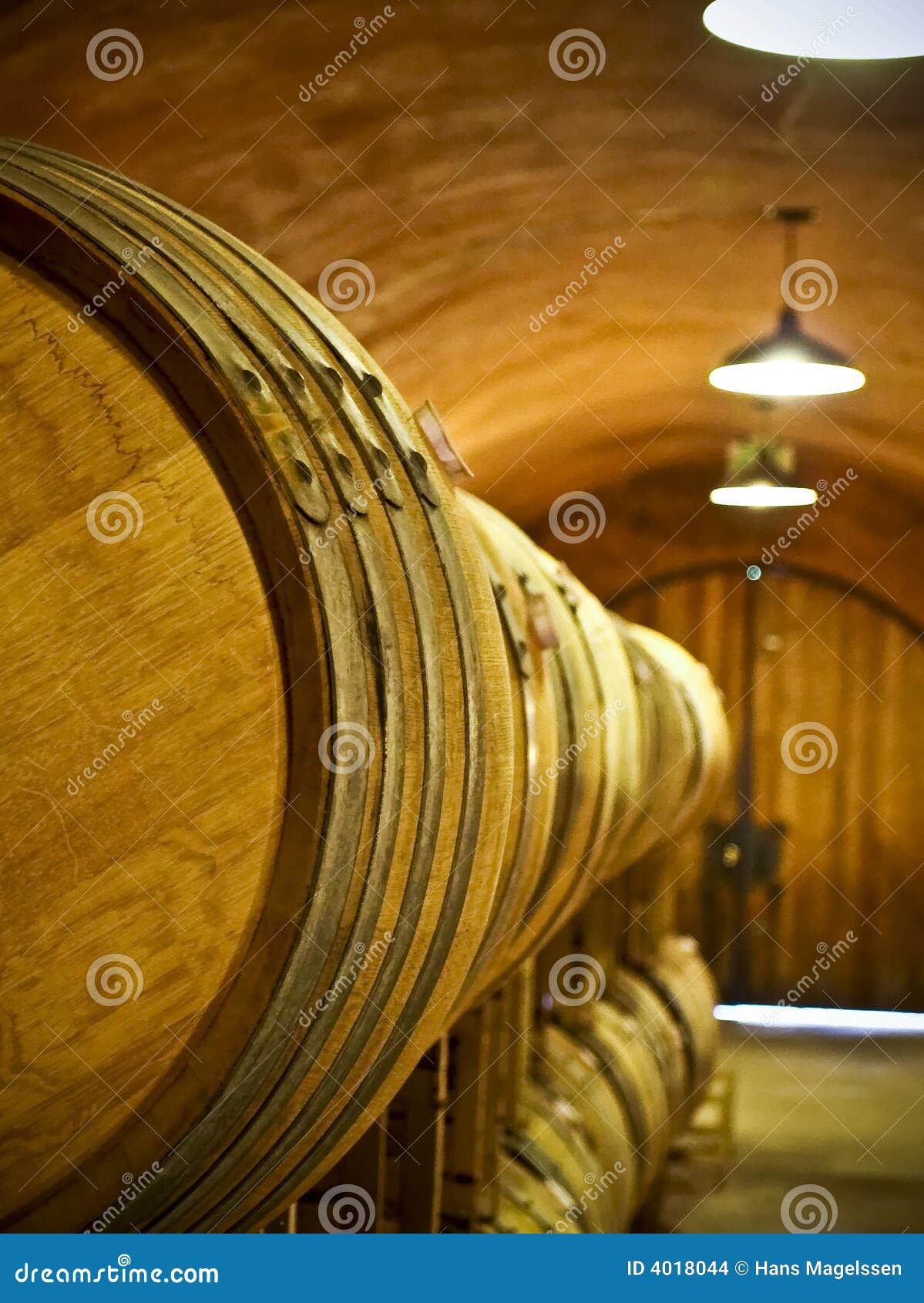 Oak wine barrels stock photo. Image of indoor, basement - 4018044