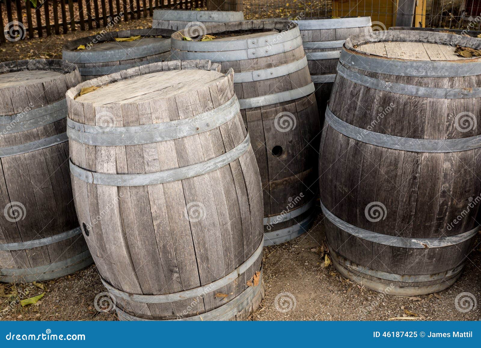 Oak Wine Barrels stock image. Image of farm, fall, winery - 46187425