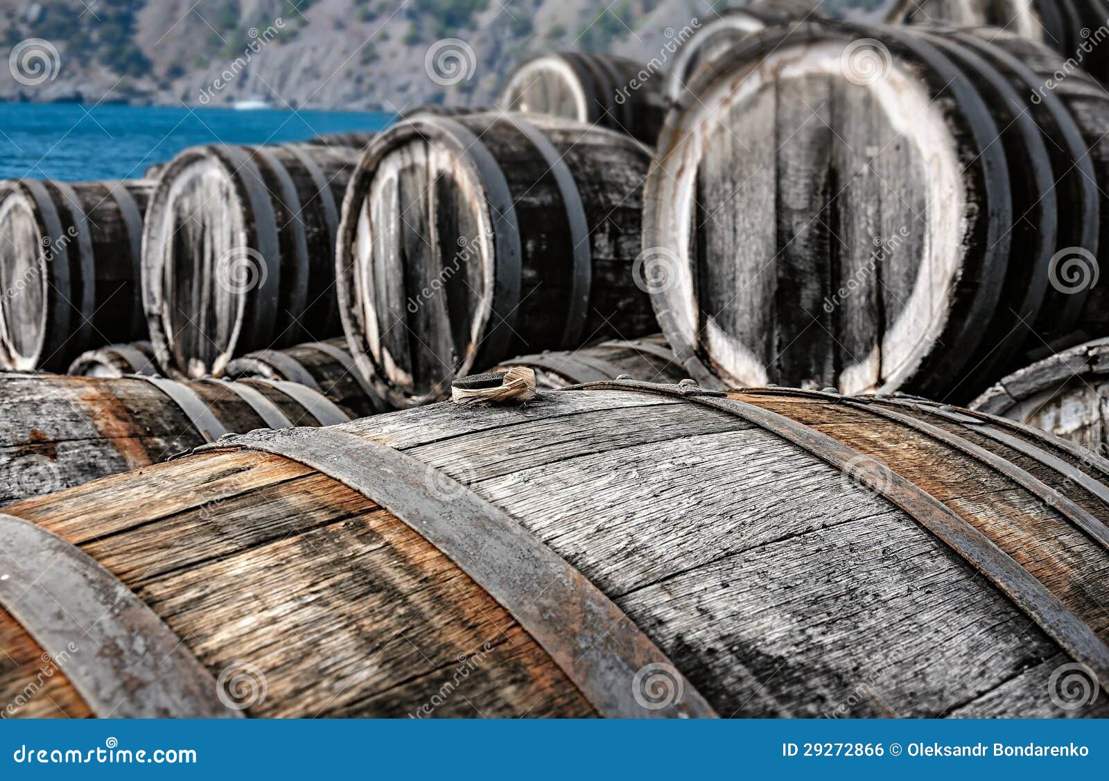 Oak wine casks on winery stock photo. Image of madeira - 29272866