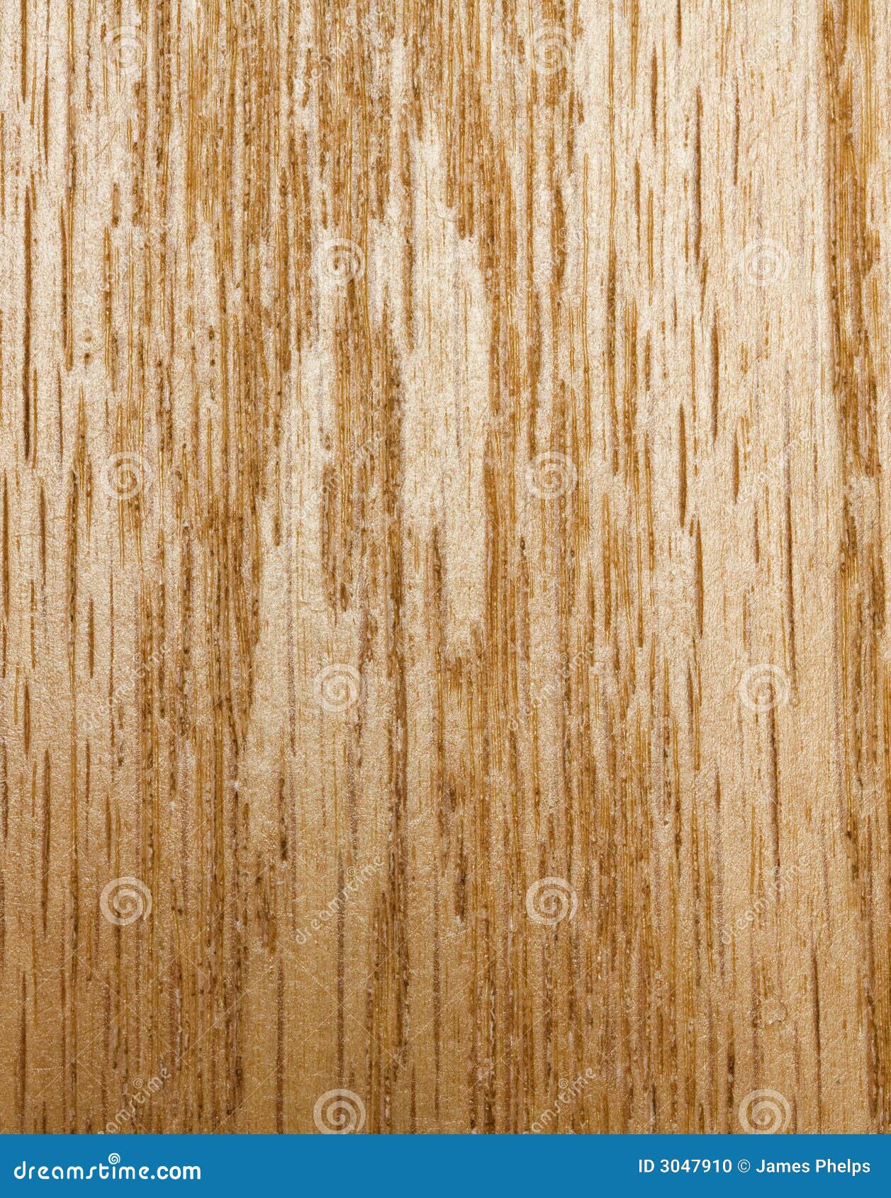 Oak Wood Grain stock photo. Image of wallpaper, wood, close - 3047910