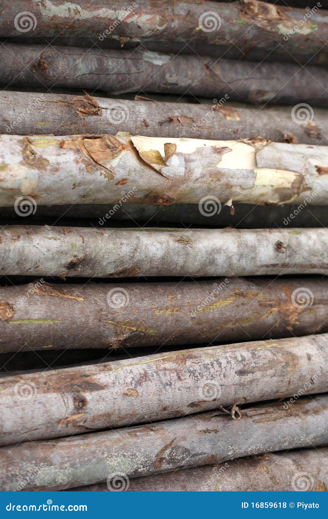 Oak Wood Pattern Background Stock Photo - Image of plank, element: 16859618