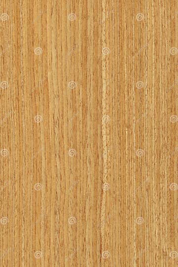 Oak (wood texture) stock image. Image of backdrop, nature - 8109341