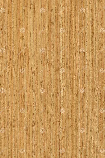 Oak (wood texture) stock image. Image of backdrop, nature - 8109341