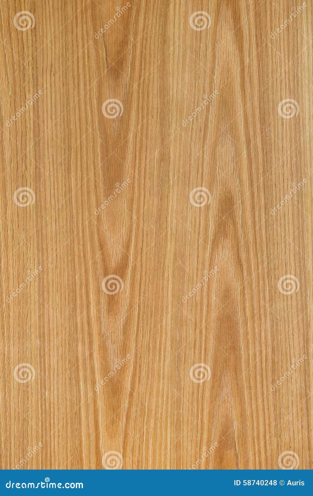 Oak wood texture stock photo. Image of background, abstract - 58740248
