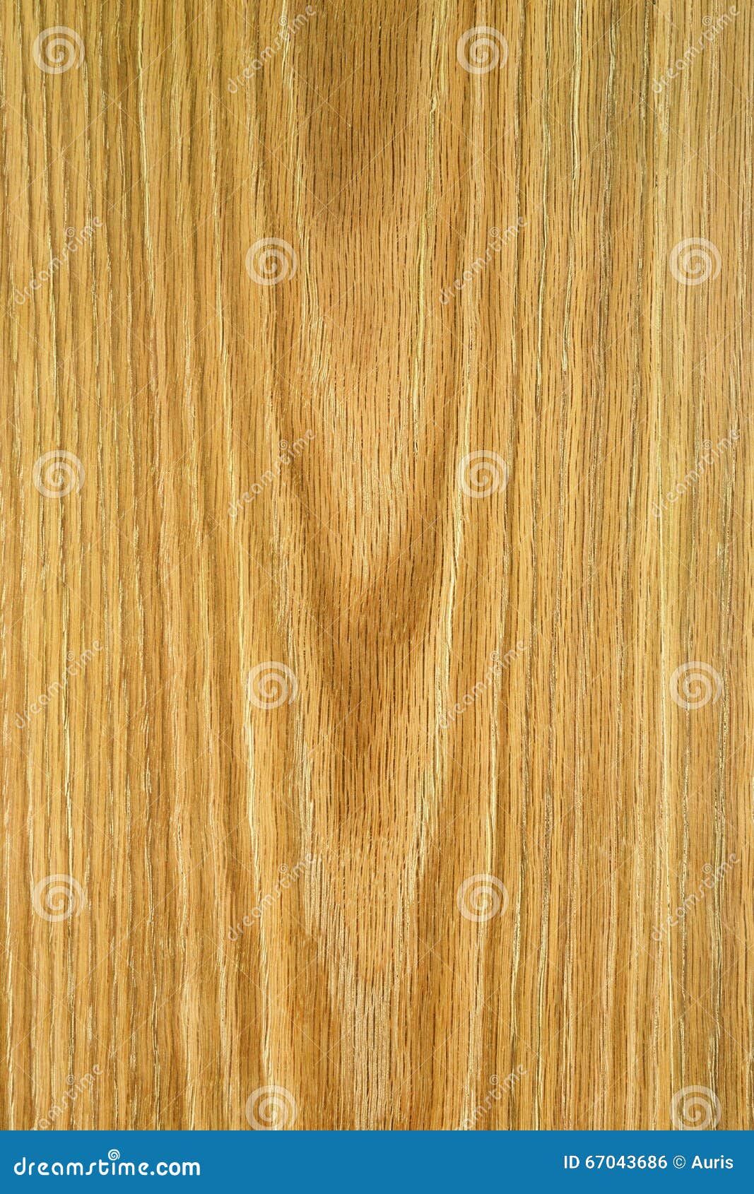 Oak wood texture stock photo. Image of high, close, pattern - 67043686