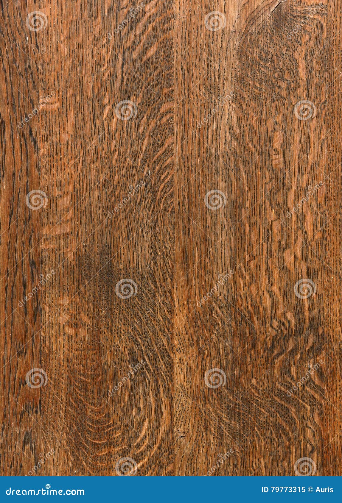 Oak wood texture stock image. Image of abstract, panel - 79773315