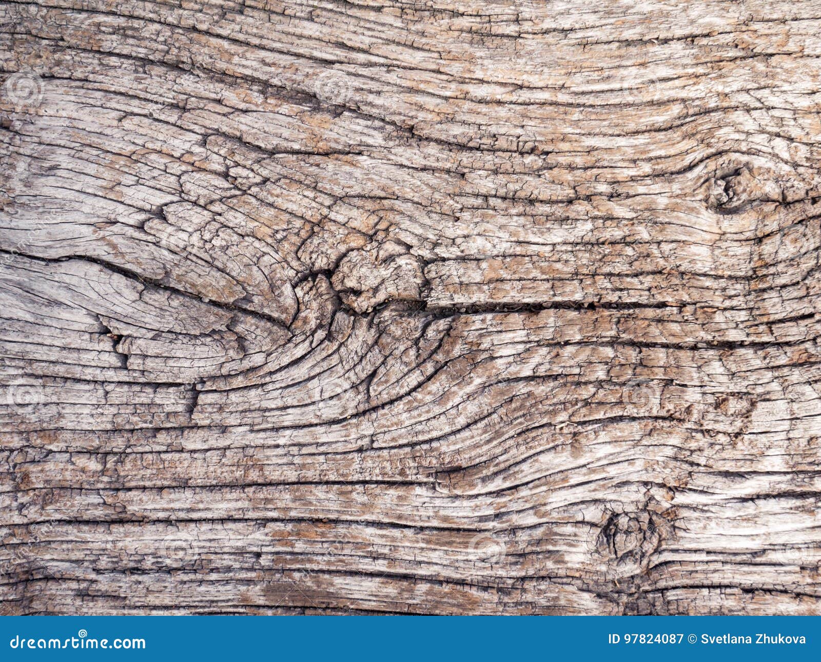 Oak wood texture stock image. Image of decorative, striped - 97824087