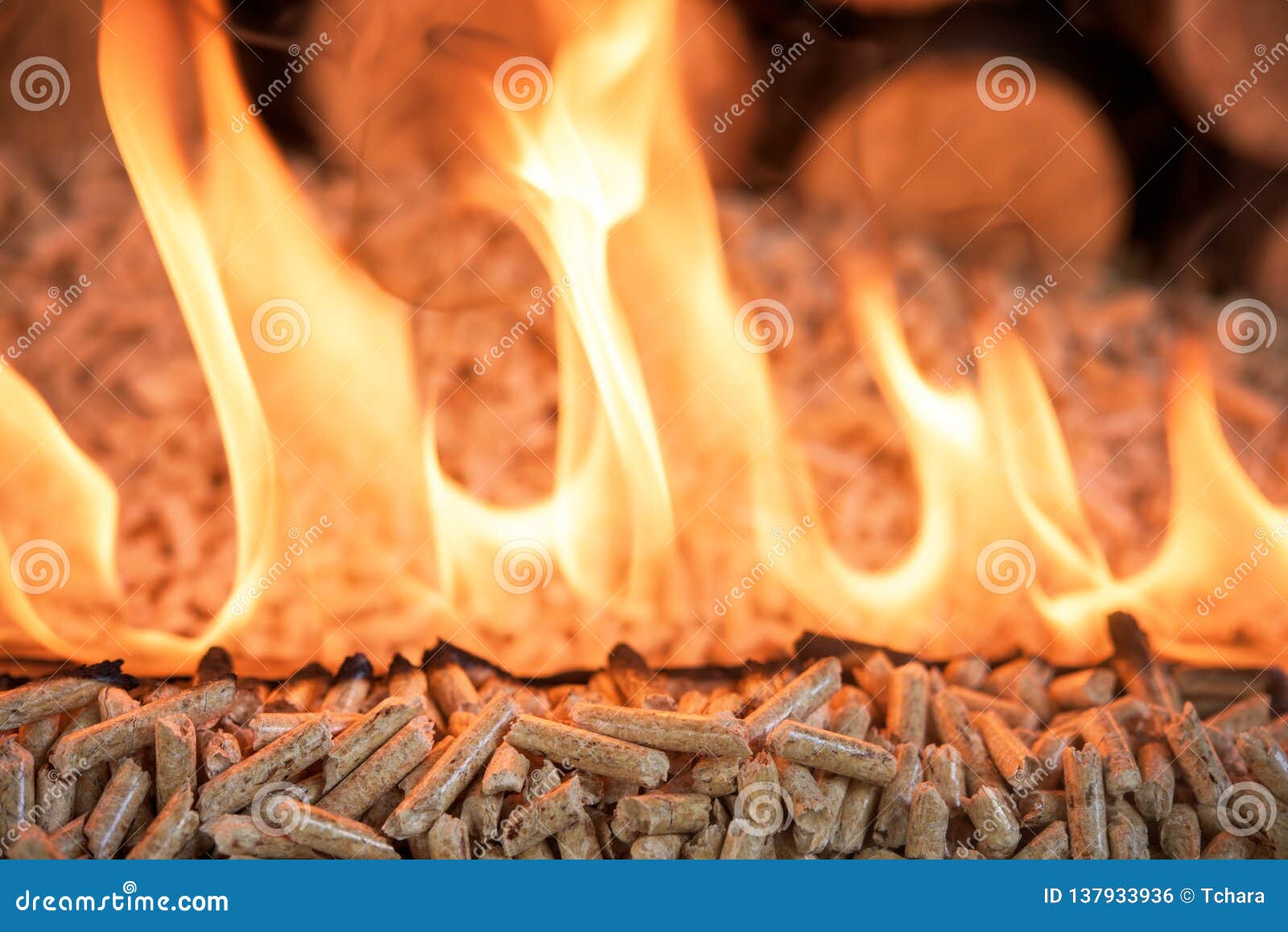 Oak Wooden Biomass in Flame Stock Photo - Image of object, biomass ...