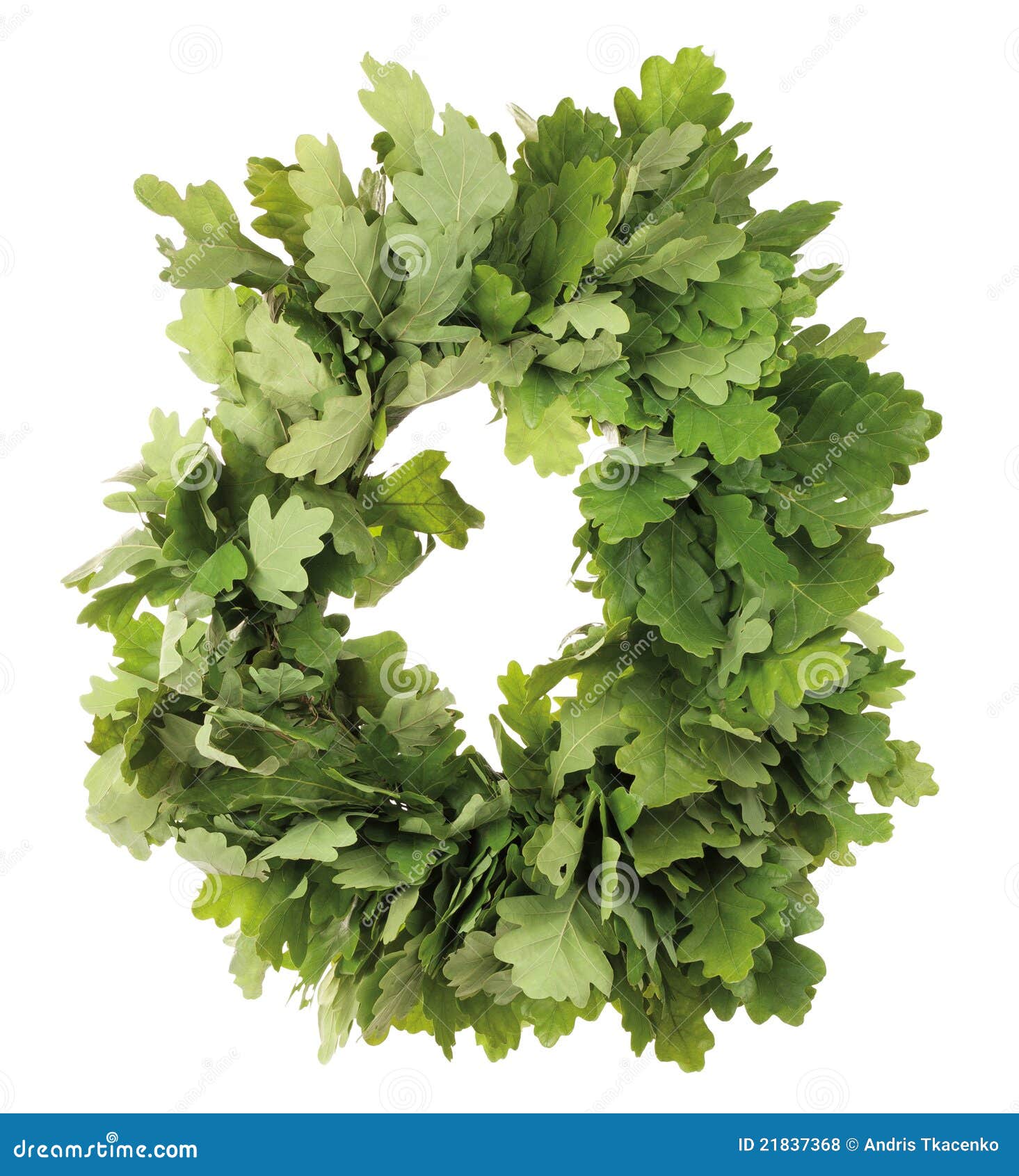 Oak wreath stock photo. Image of object, textured, texture - 21837368
