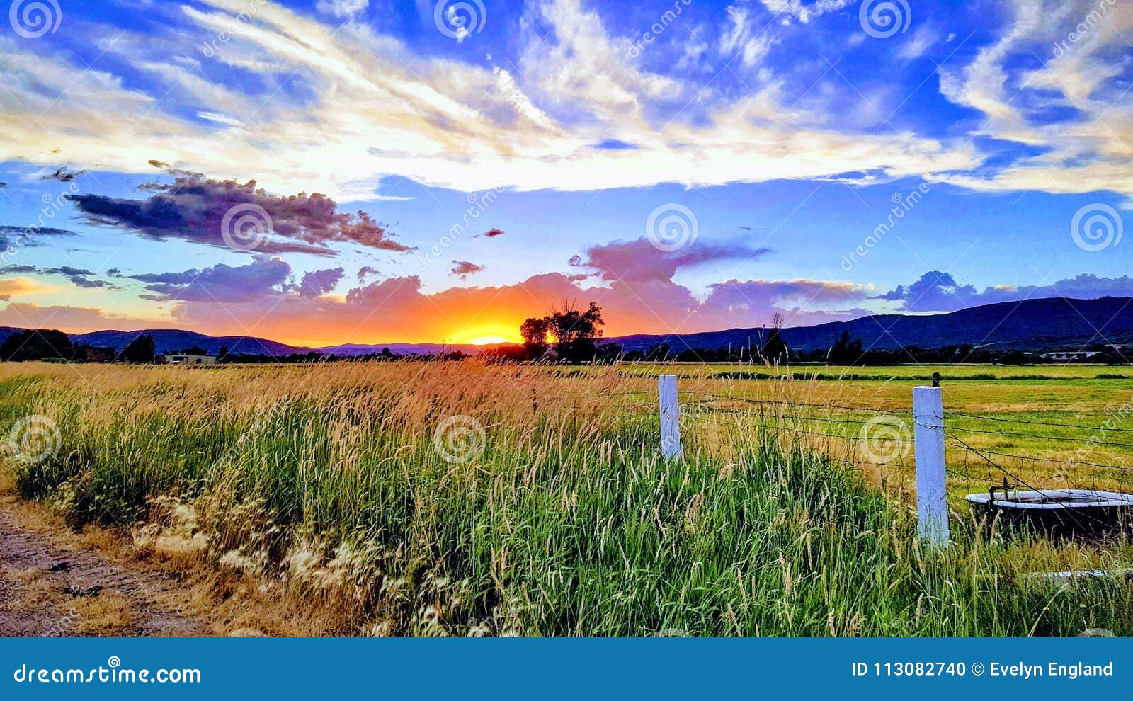 Oakley Utah stock photo. Image of outdoors, sunset, utah - 113082740